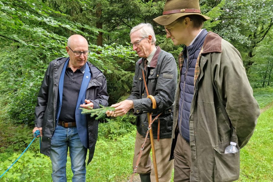 Besuch im Lembecker Wald: Der Wald als Klimaschützer › Michael Gerdes MdB